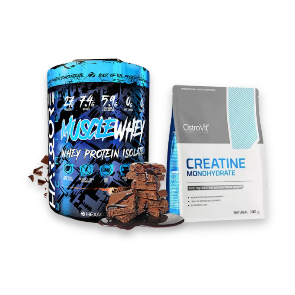 Proteína Premium Plus – Golden Nutrition